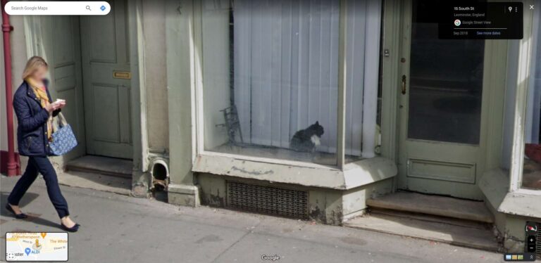 Cat Guard - STREETVIEWFUN