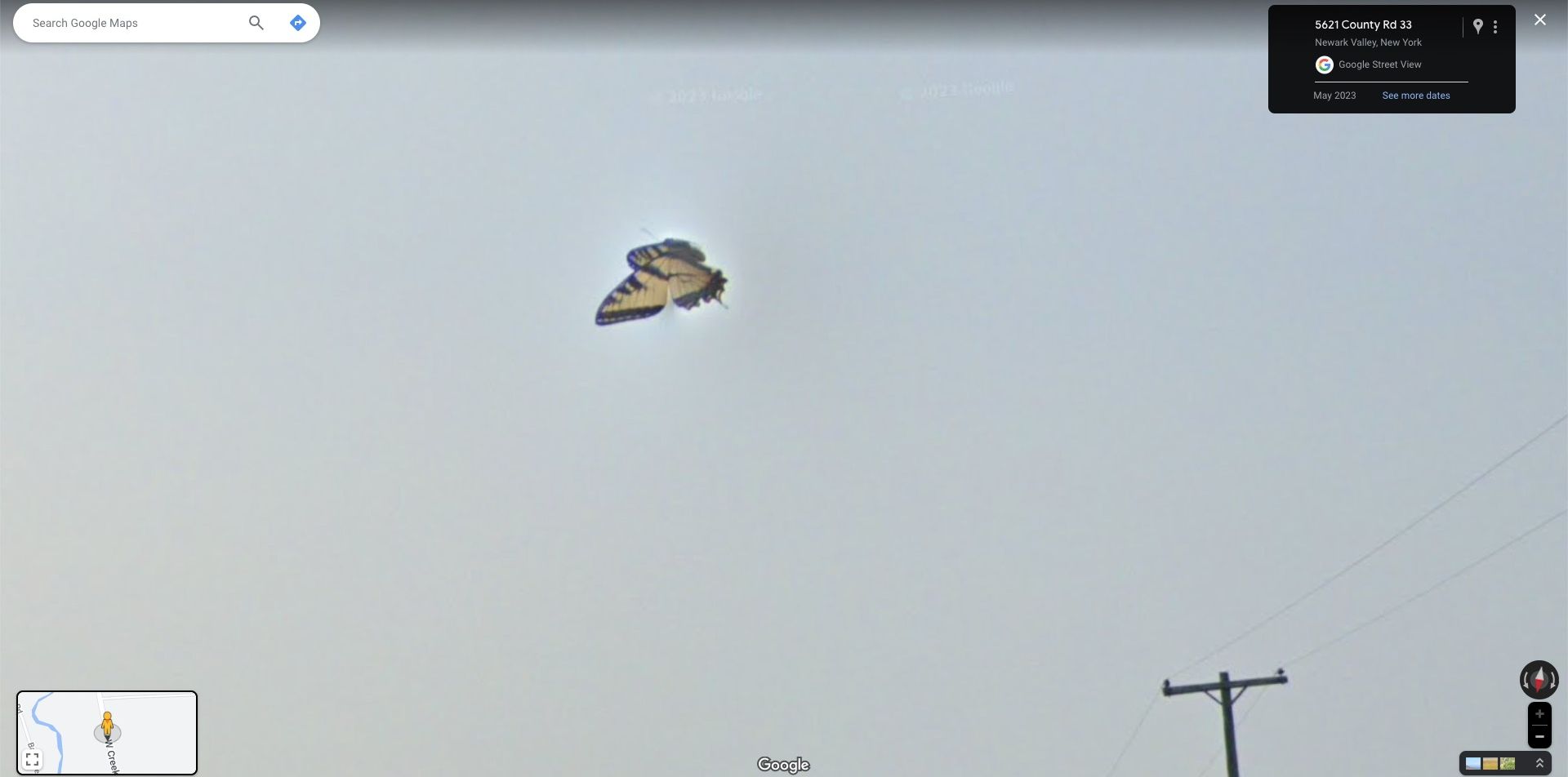 Butterfly in the air - STREETVIEWFUN
