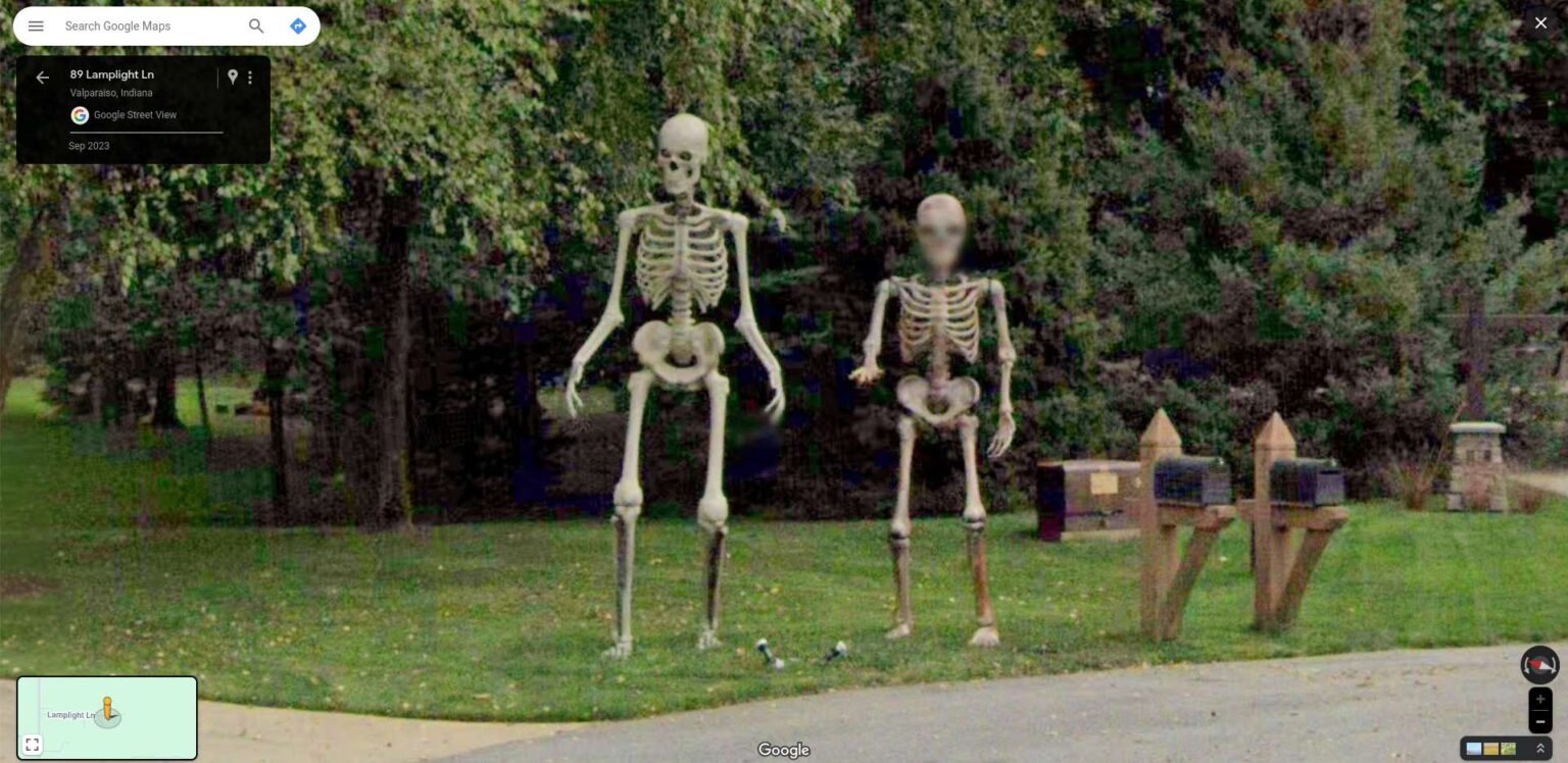 Random giant skeletons in suburbia - STREETVIEWFUN