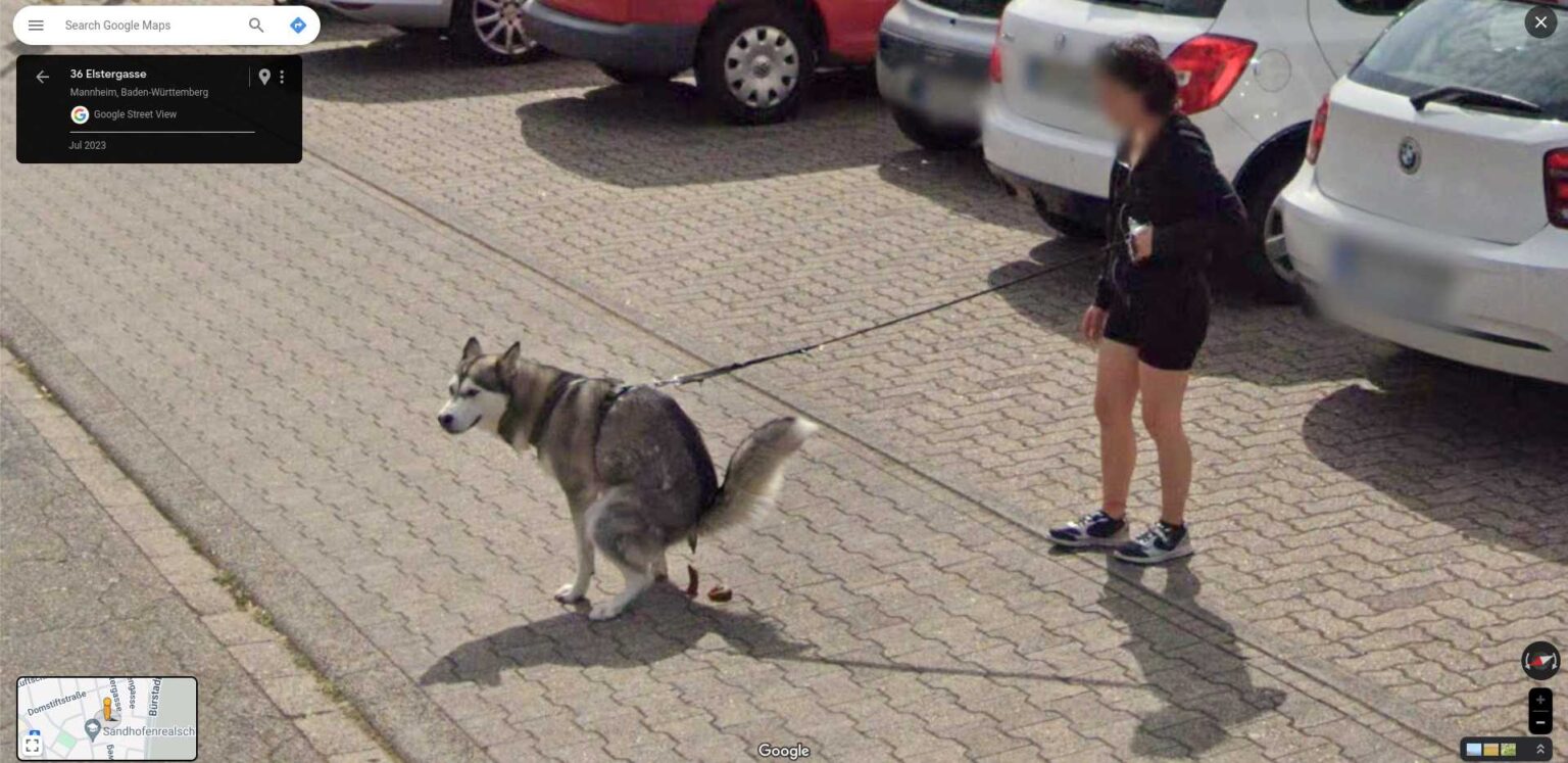 Caught in 4K - STREETVIEWFUN