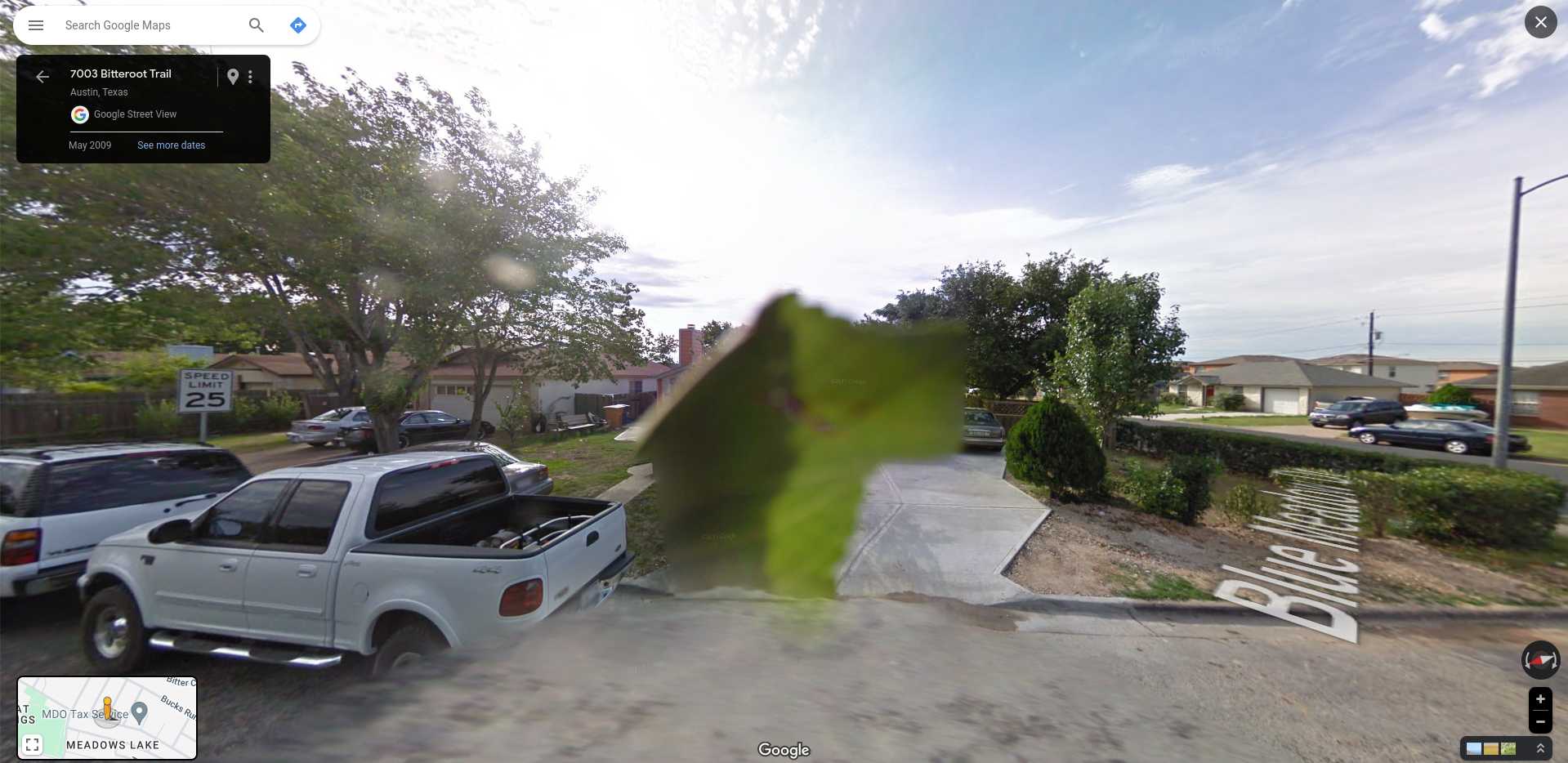 The Leaf on Google Streetview Cam - STREETVIEWFUN