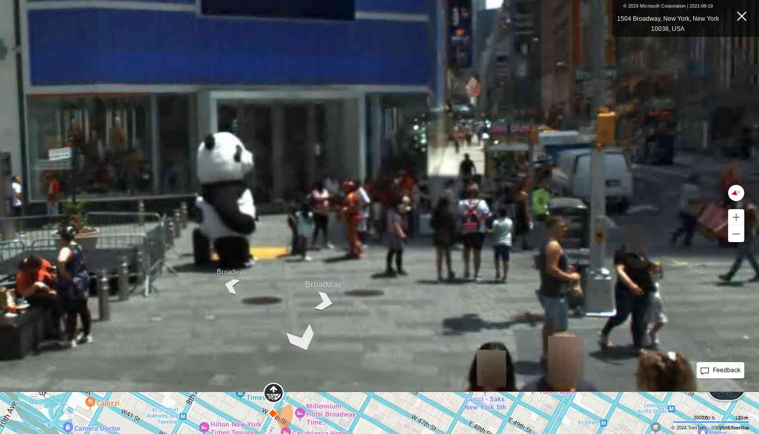 A Panda in NYC - STREETVIEWFUN