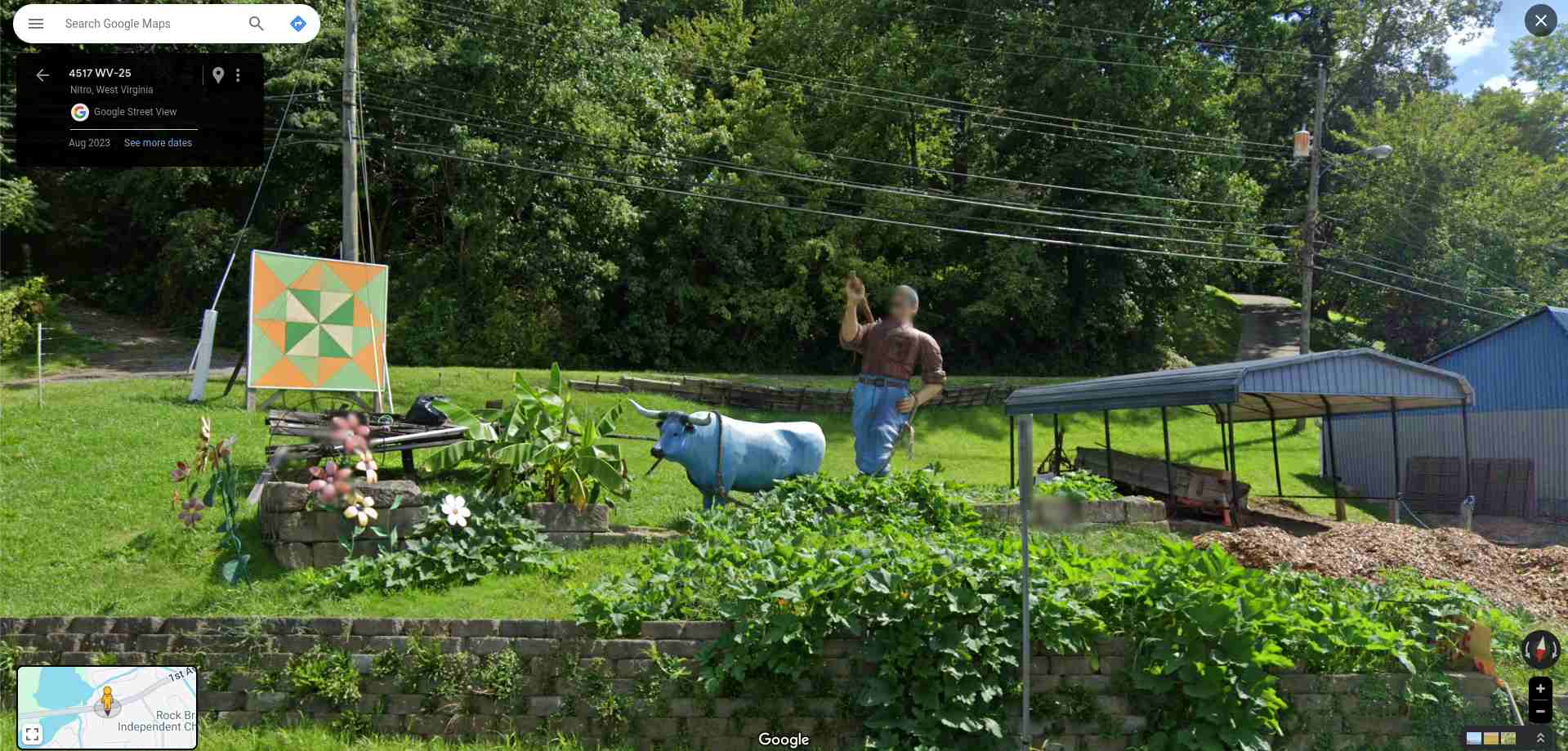 The farmer and his blue ox 🐂 - STREETVIEWFUN