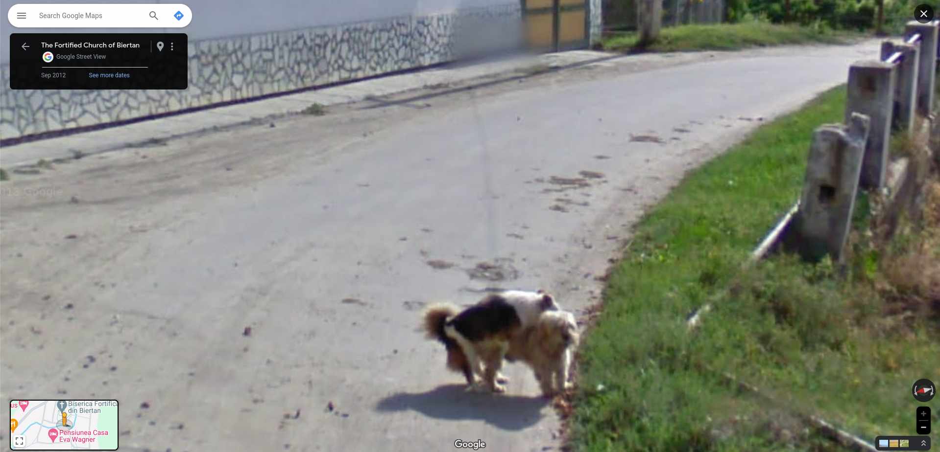 Bad dogs - STREETVIEWFUN