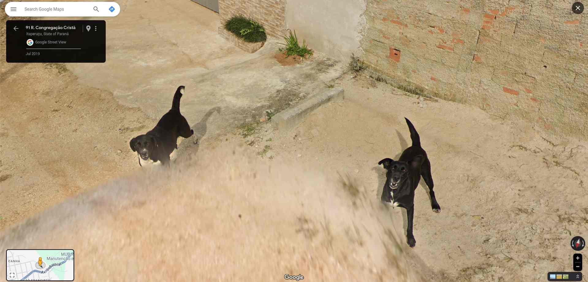 Dog hates Google car? - STREETVIEWFUN