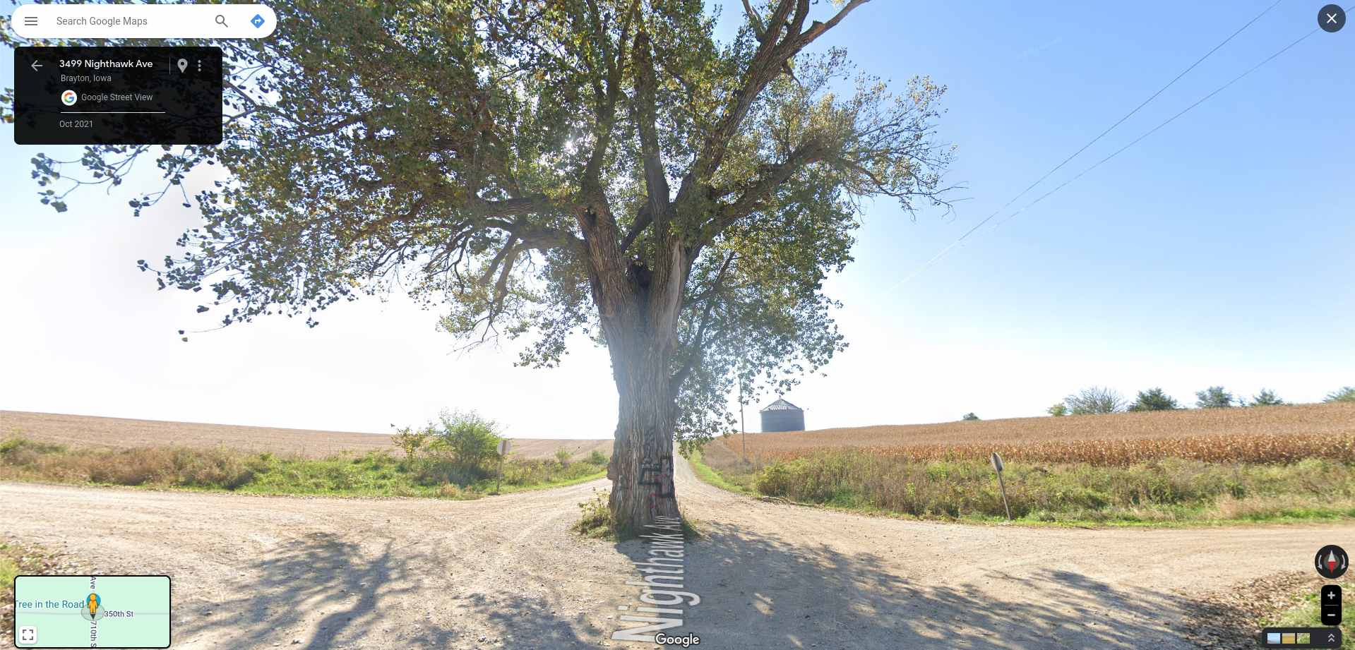 Take a left at the tree in the middle of the road - STREETVIEWFUN
