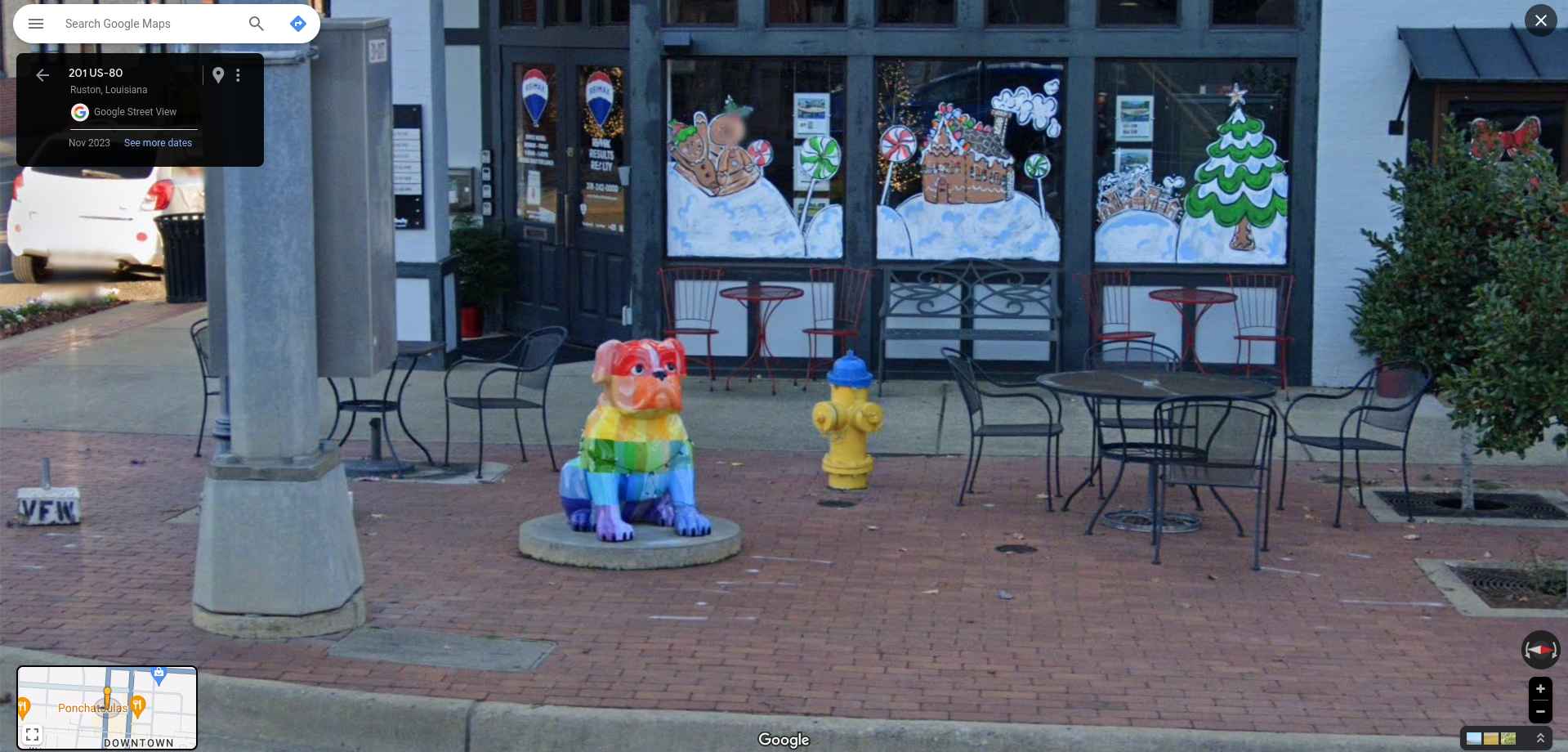 Rainbow dog - STREETVIEWFUN