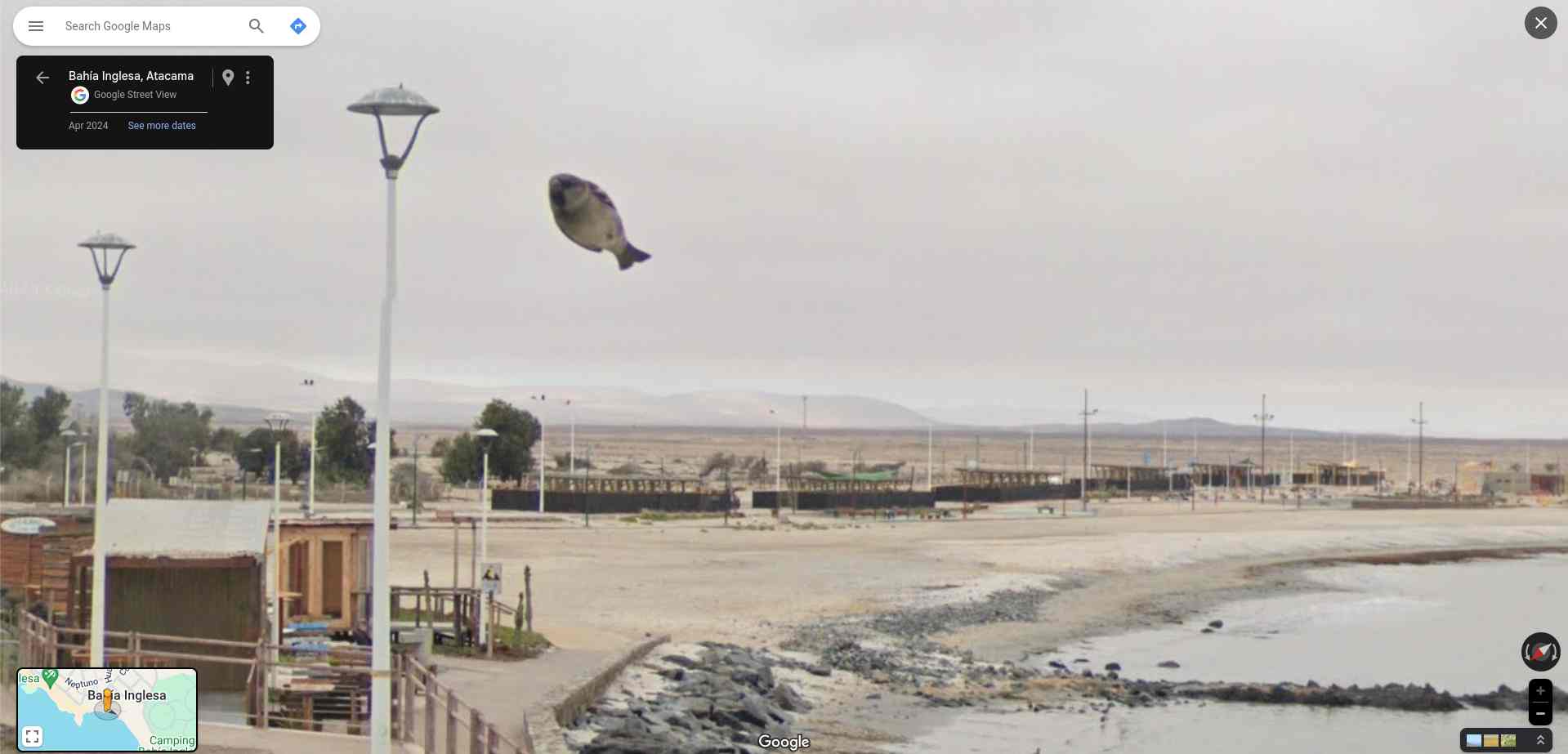 It's a bird, it's a plane... - STREETVIEWFUN