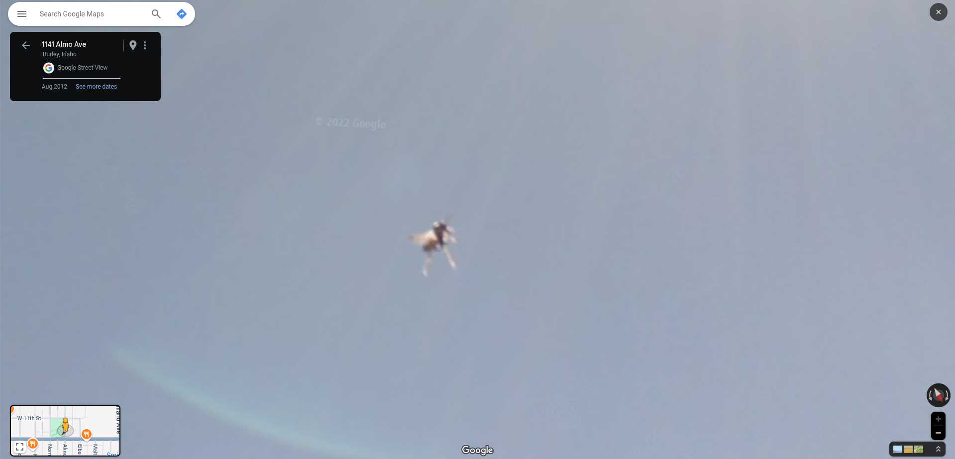 Flying insect? - STREETVIEWFUN
