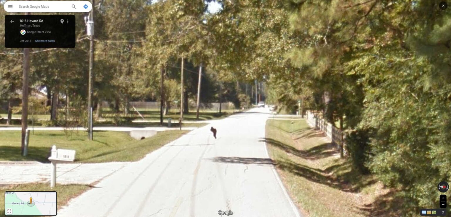 Strange things – StreetViewFun