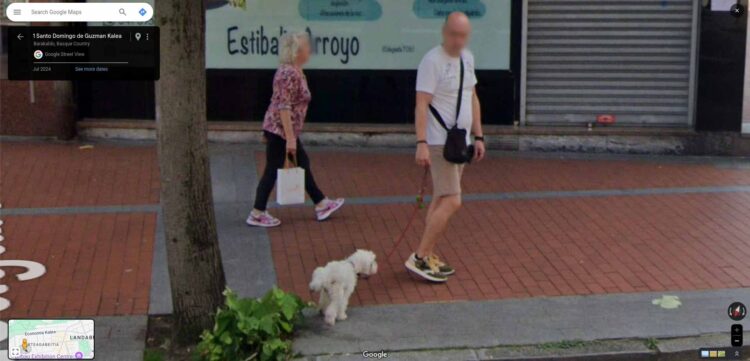 STREETVIEWFUN – Page 38