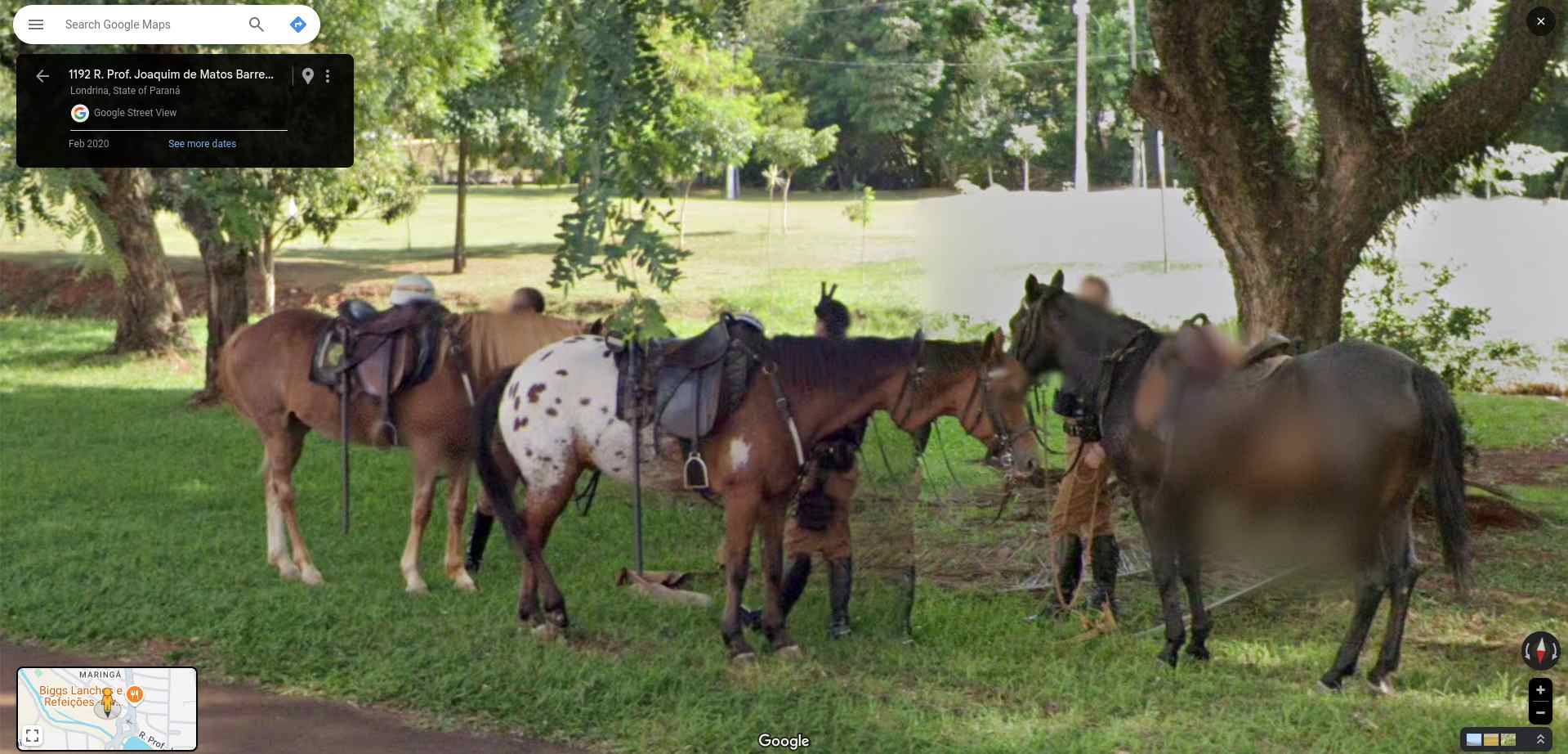Meeting of horses in a noble area of Londrina - City’s 90th Anniversary Special #2 - STREETVIEWFUN