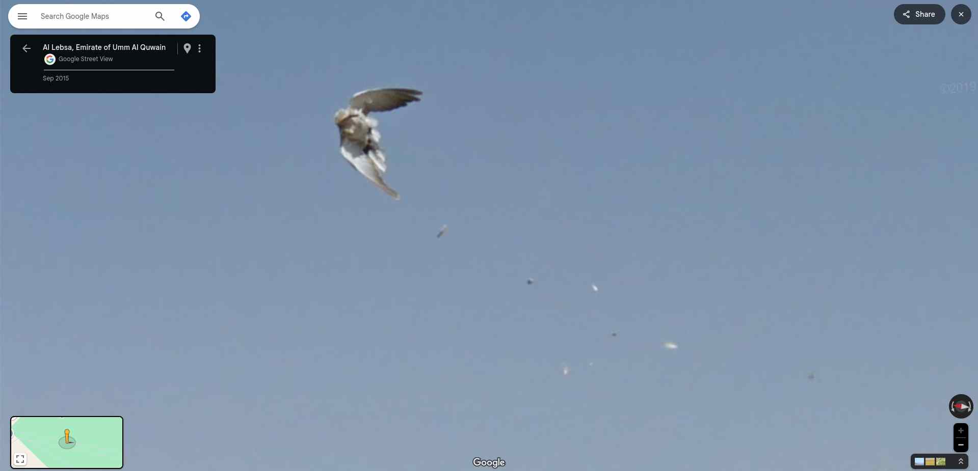 STREETVIEWFUN – Page 8