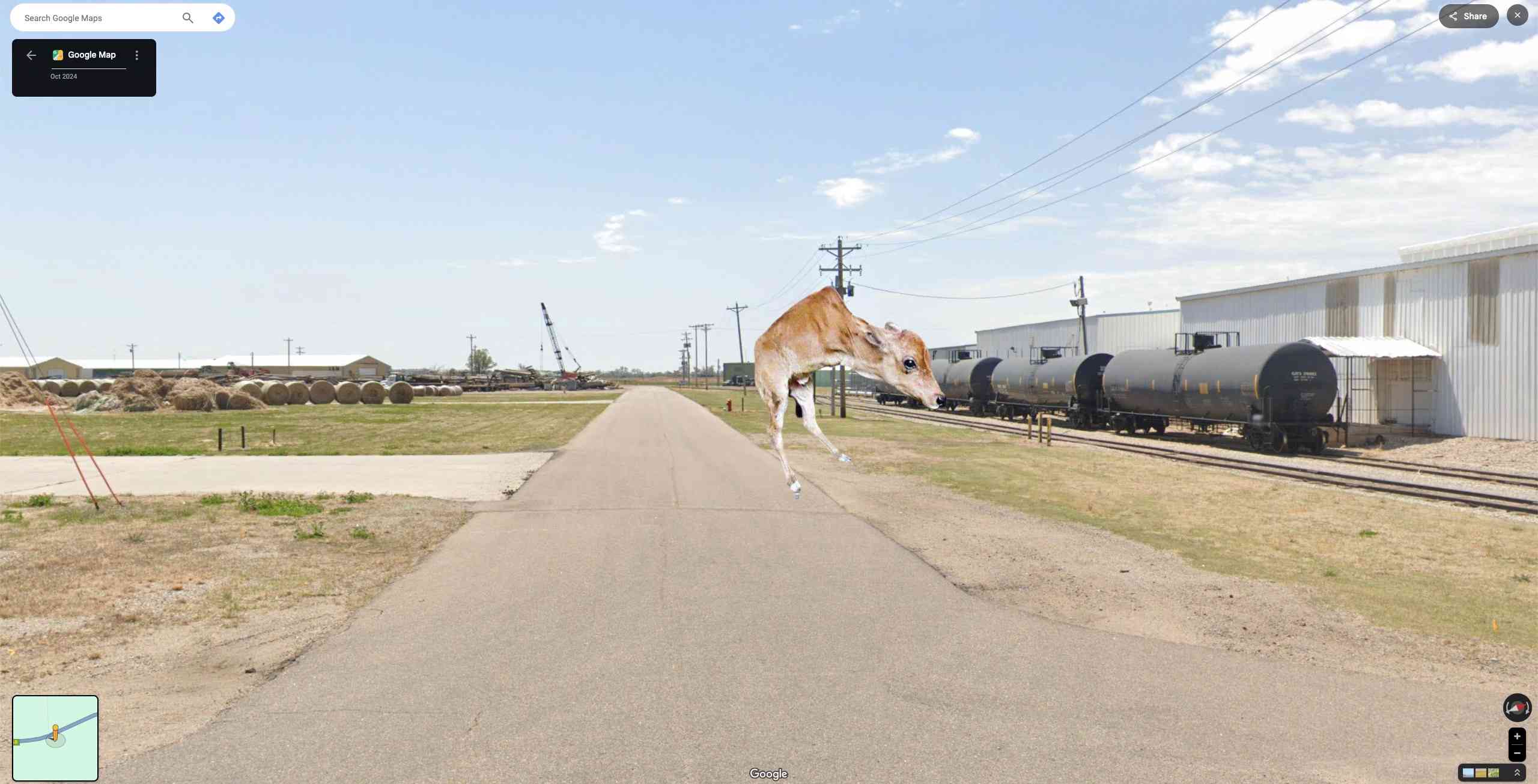 Two-legged flying cow - STREETVIEWFUN
