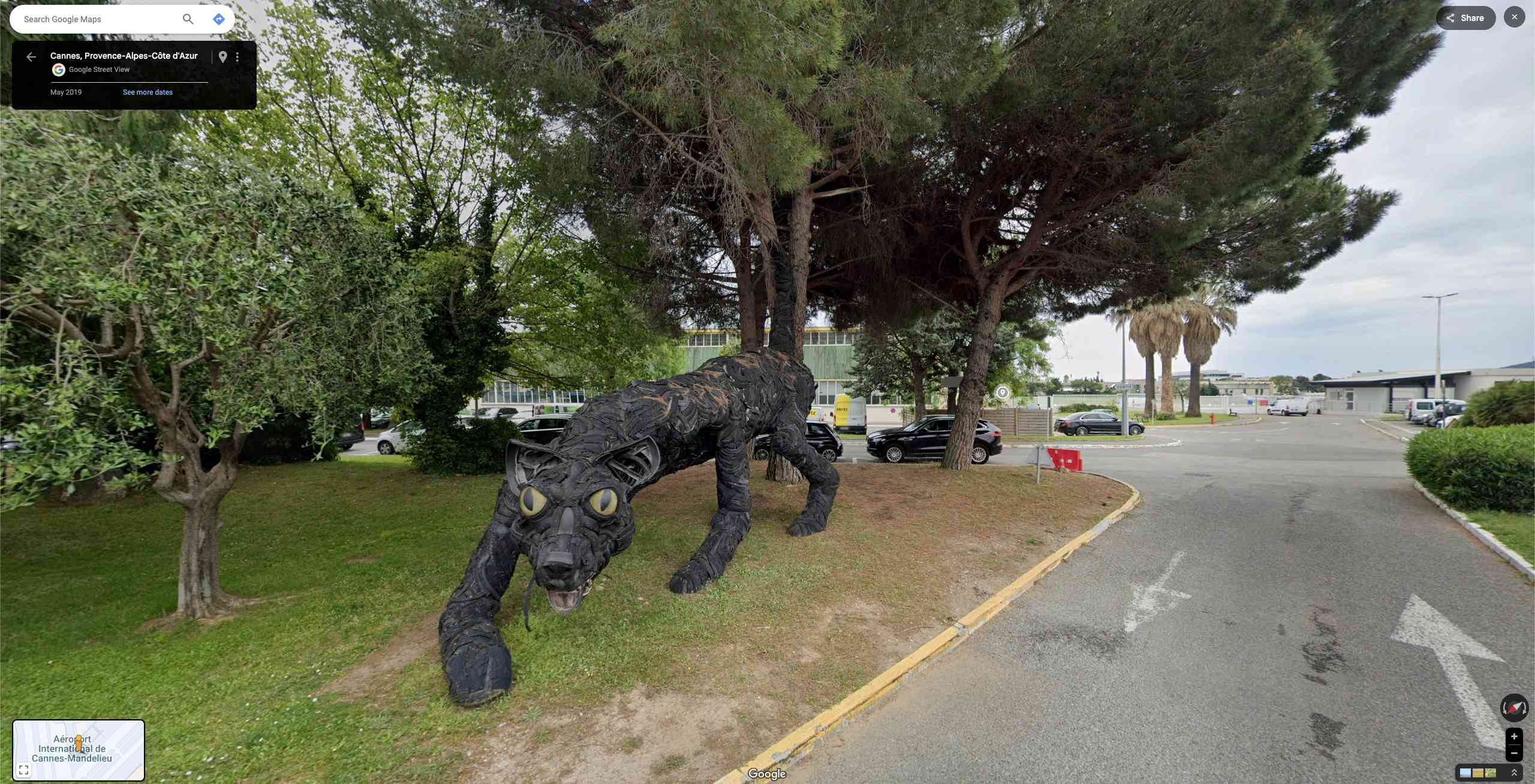 Giant cat - STREETVIEWFUN