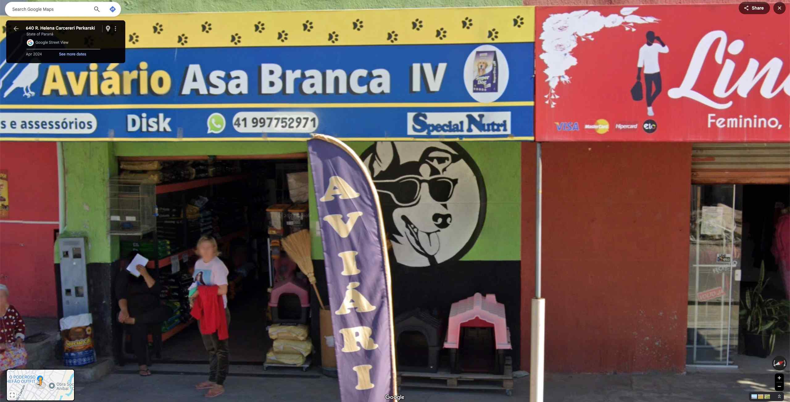 Brazilian dogs have a good style in art - STREETVIEWFUN