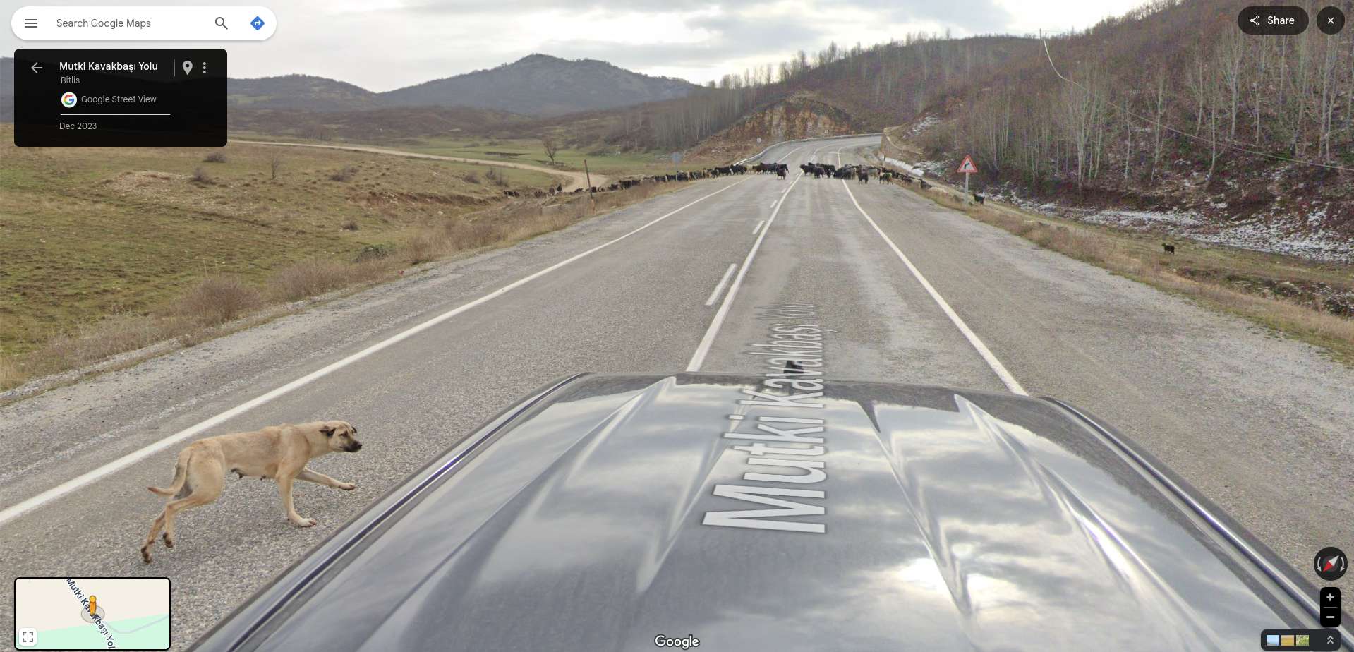 StreetViewFun – Page 6 – Funny Street View Google Maps images