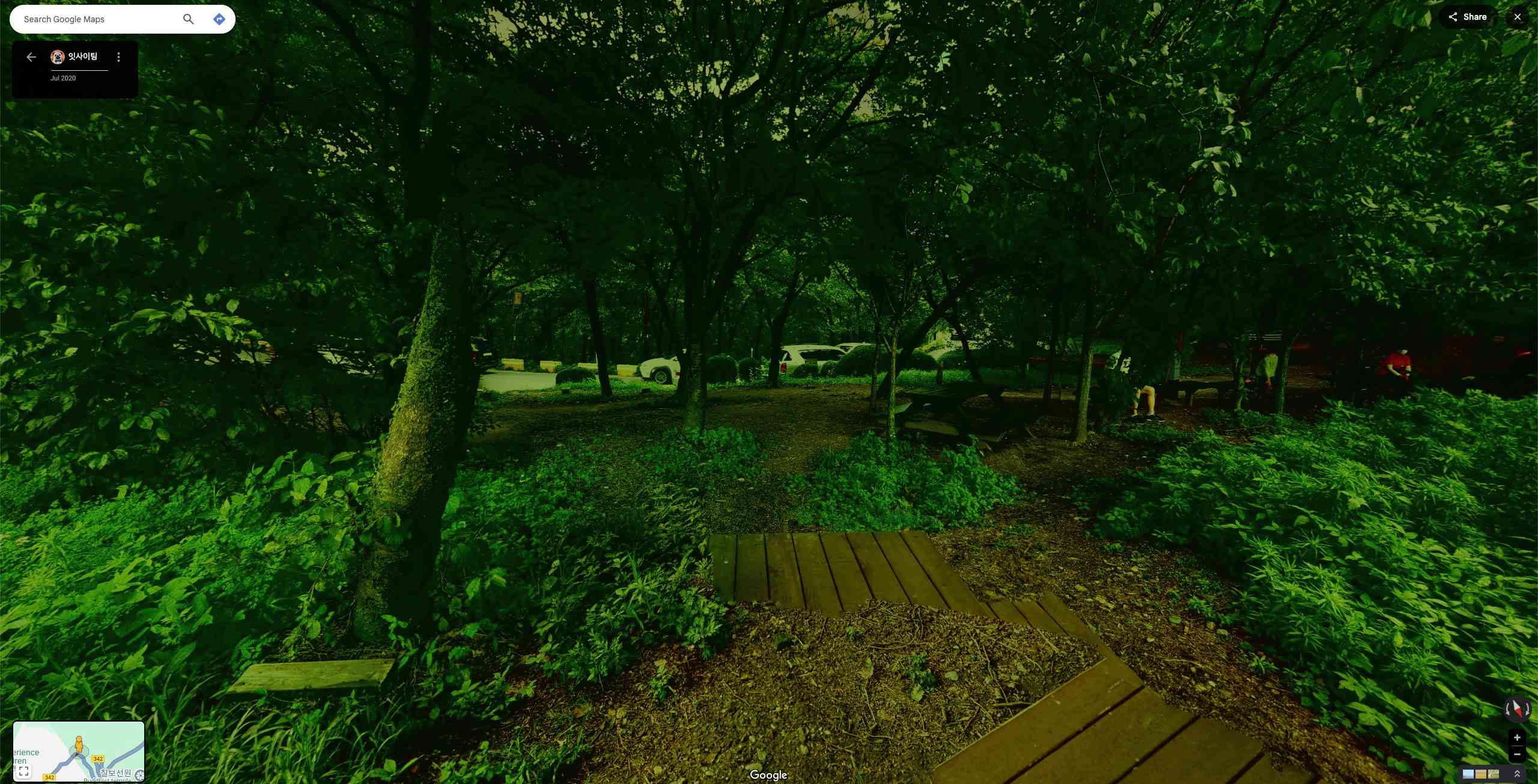 Too green - STREETVIEWFUN