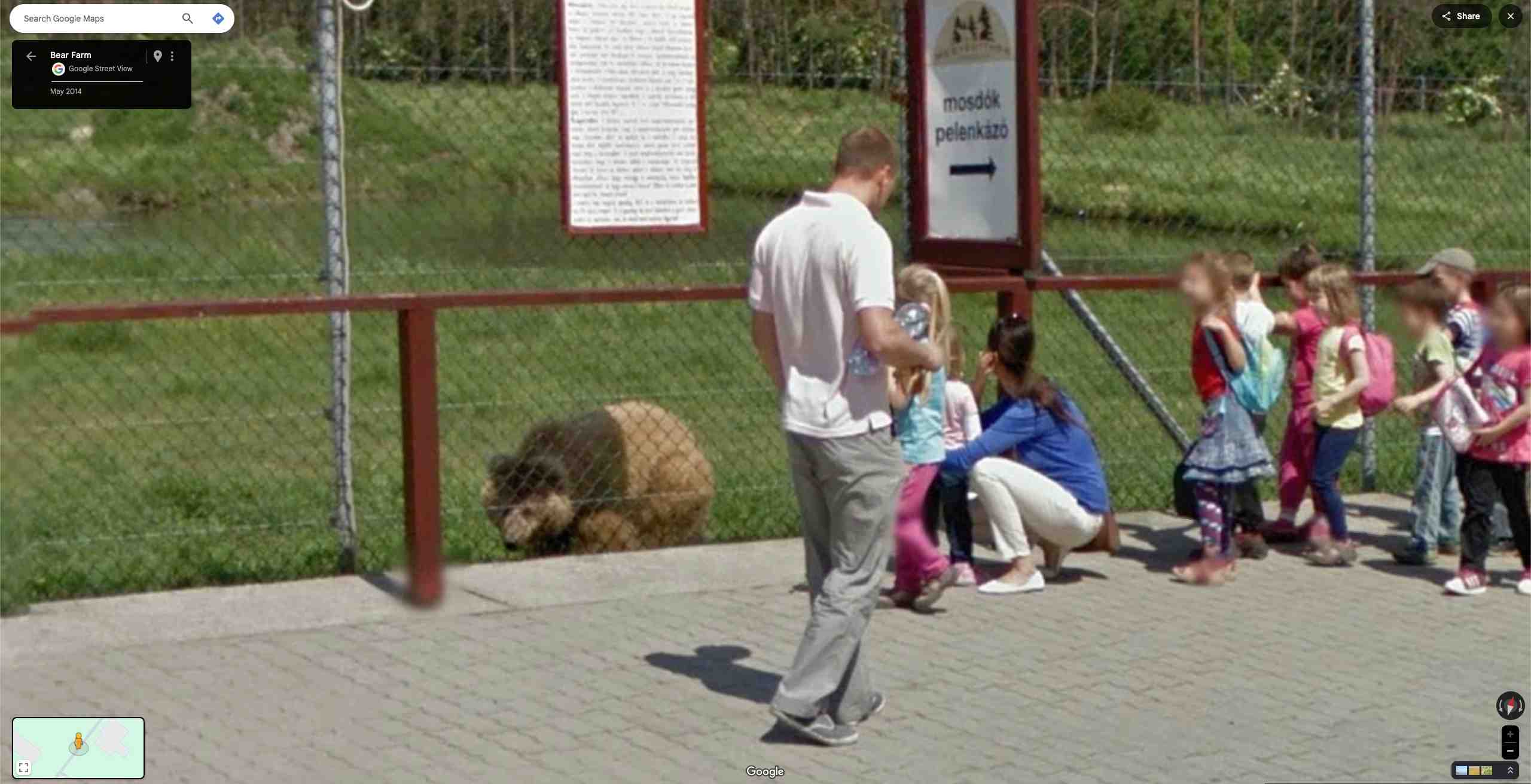 Kids visit a bear - STREETVIEWFUN