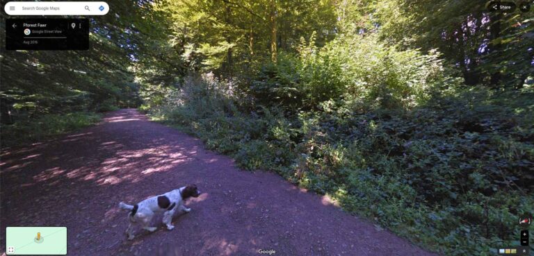 STREETVIEWFUN – Page 2