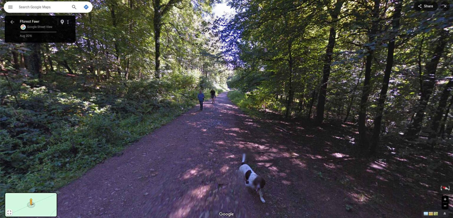 STREETVIEWFUN – Page 2