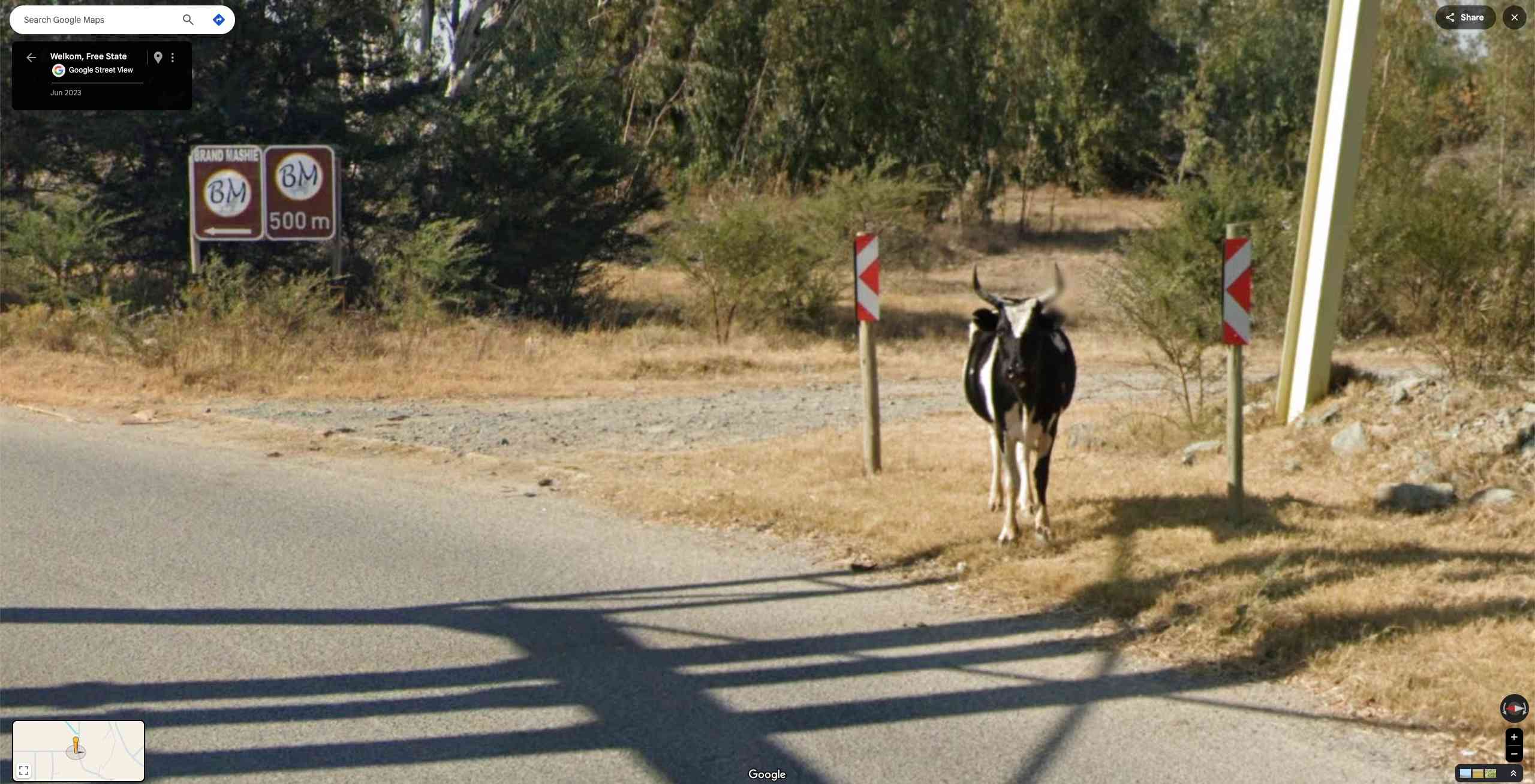 Curious about Google Maps - STREETVIEWFUN