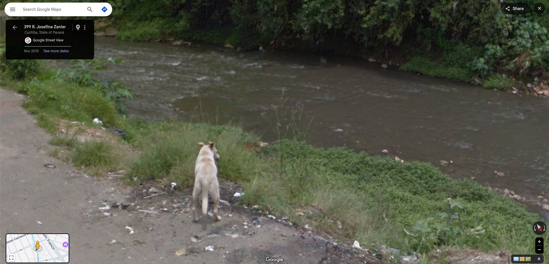 STREETVIEWFUN - Page 4 of 1970