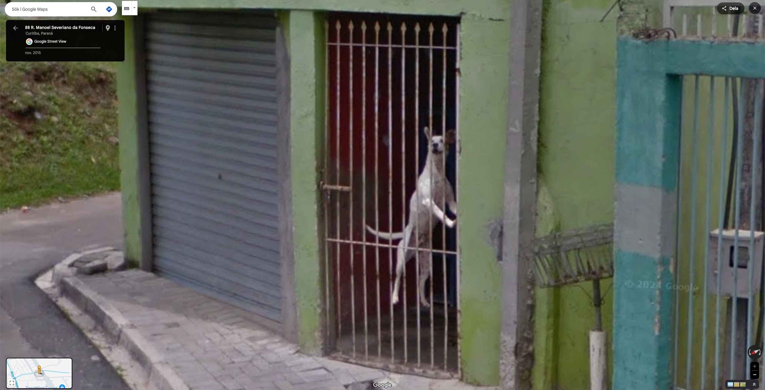 I think he wants out!! - STREETVIEWFUN