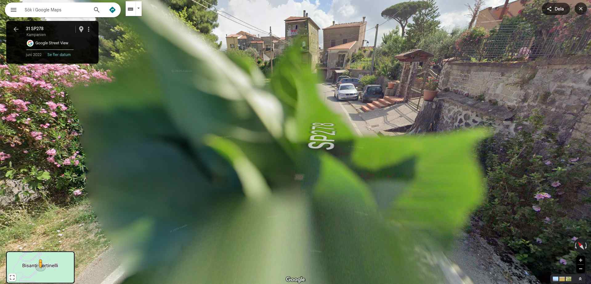 Leaf falls on Streetview Camera - STREETVIEWFUN