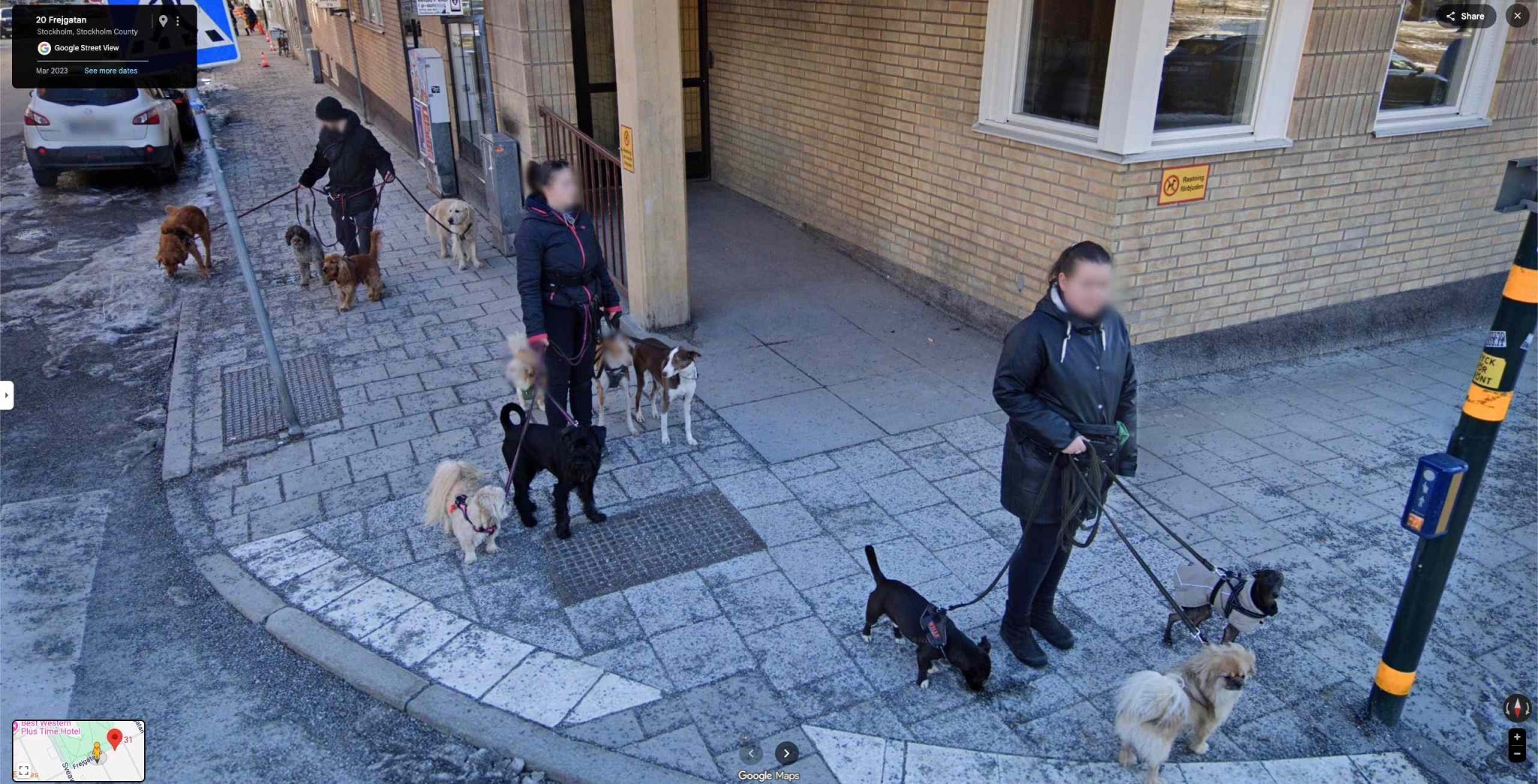 Dog daycare - STREETVIEWFUN
