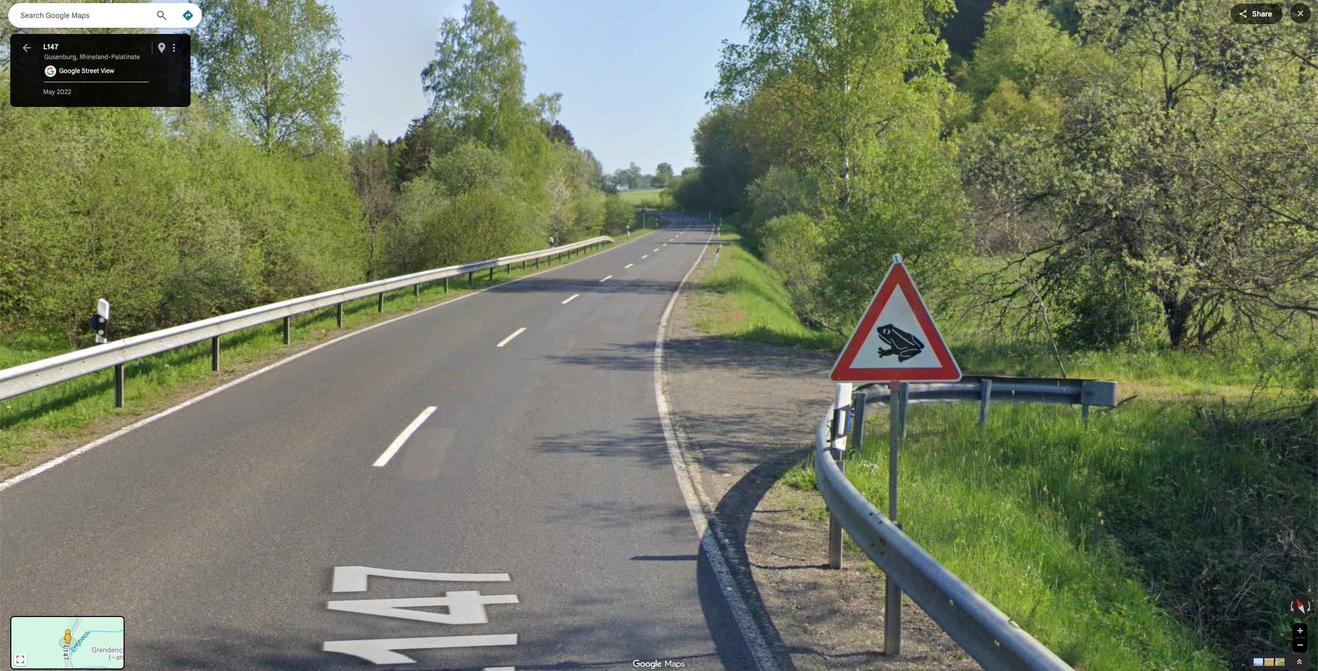 CAUTION! Frog crossing! 🐸 - STREETVIEWFUN