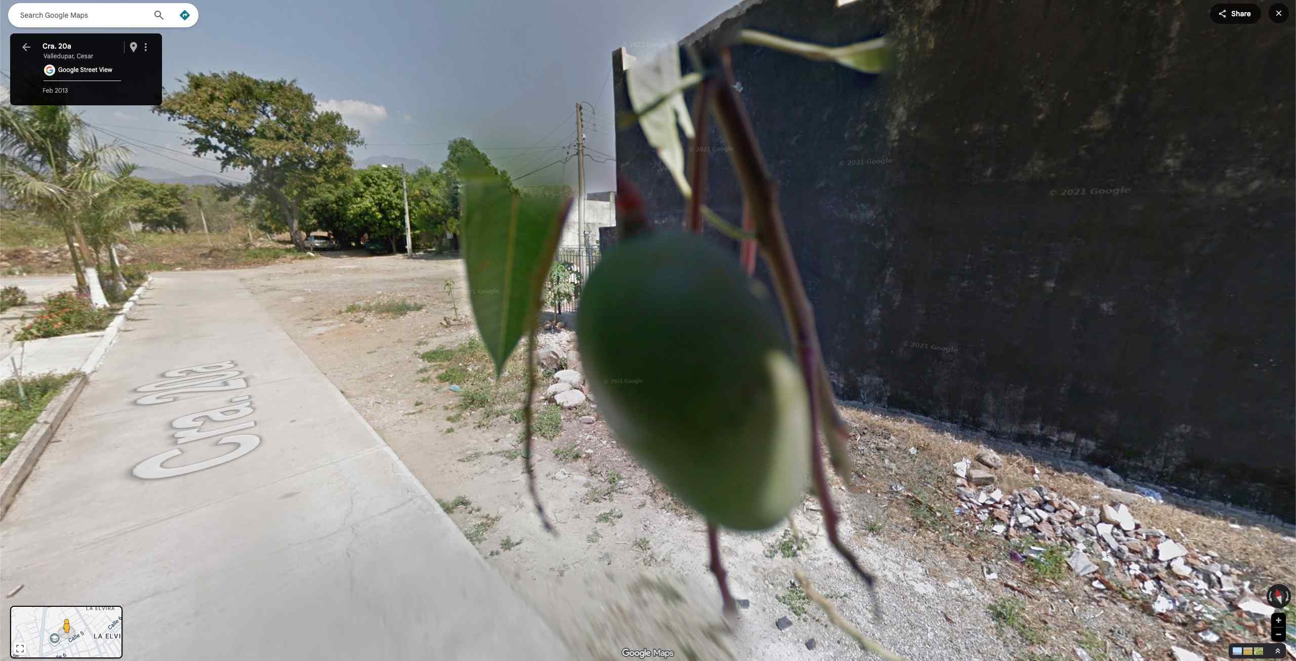 Google harvests mango and captures it on camera - STREETVIEWFUN