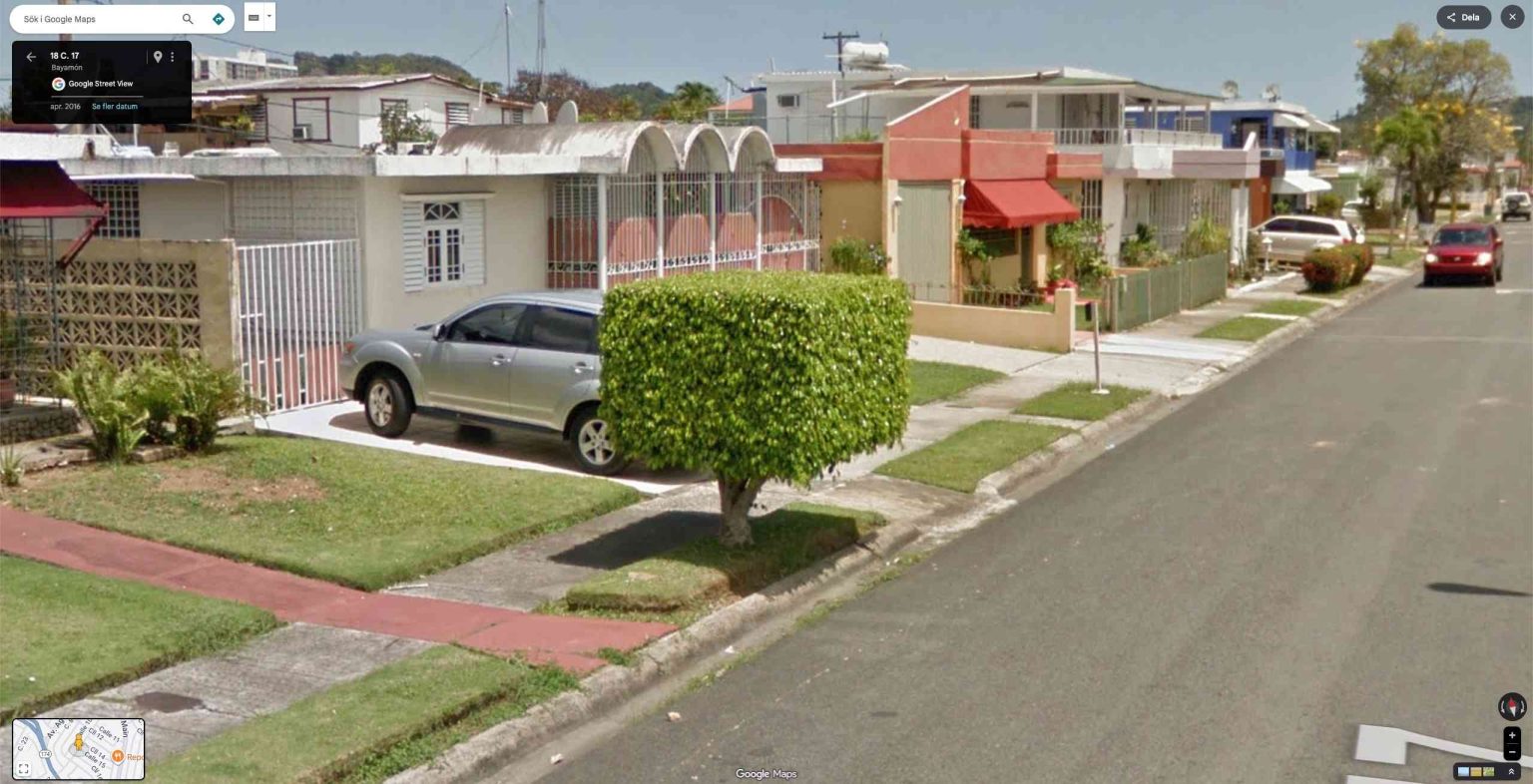 Cube tree - STREETVIEWFUN