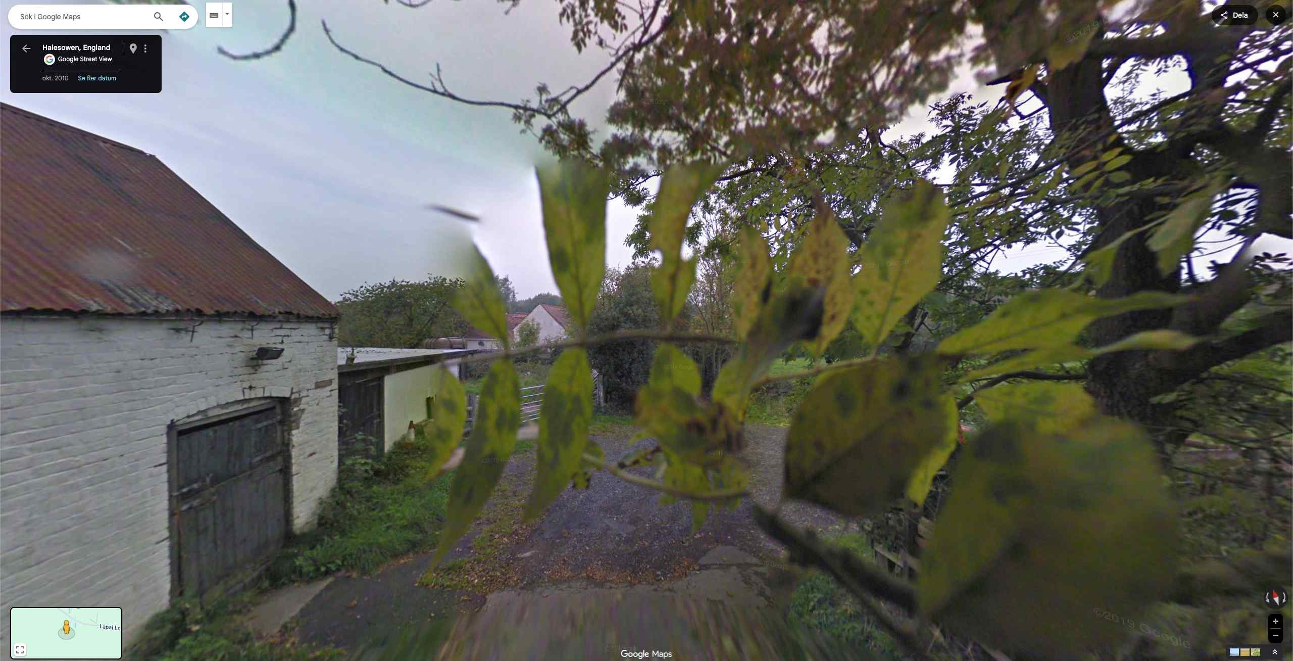 Google leaf view - STREETVIEWFUN