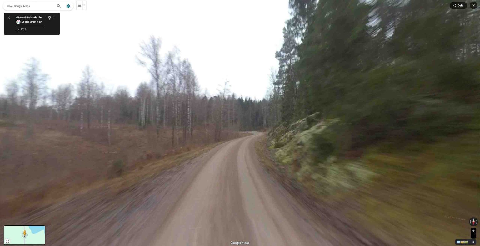 Shaking Camera - STREETVIEWFUN